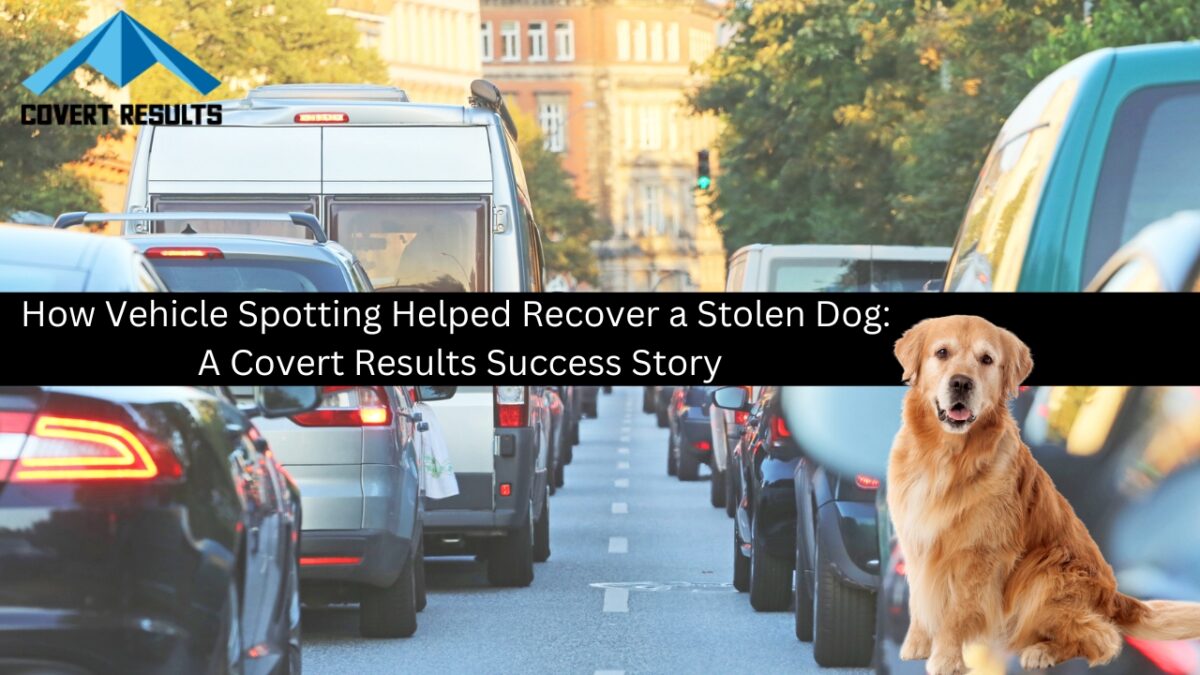 How Vehicle Spotting Helped Recover a Stolen Dog: A Covert Results ...